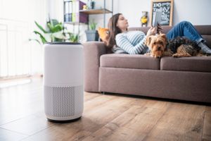 The best air purifiers, according to Consumer Reports and Reader's Digest