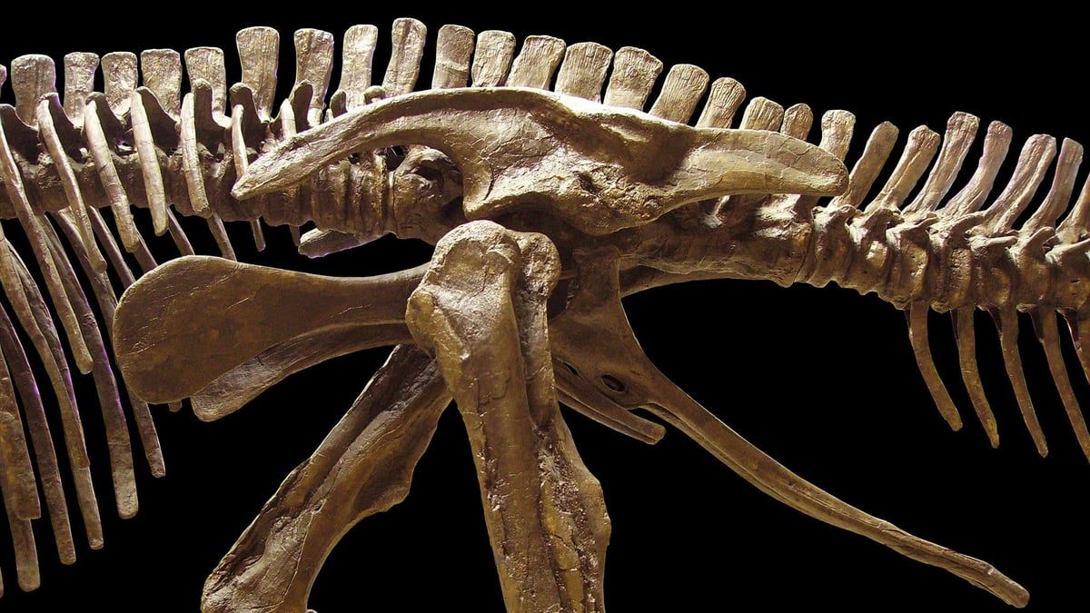 Scientists have found dinosaur blood in a 75 million-year-old fossil