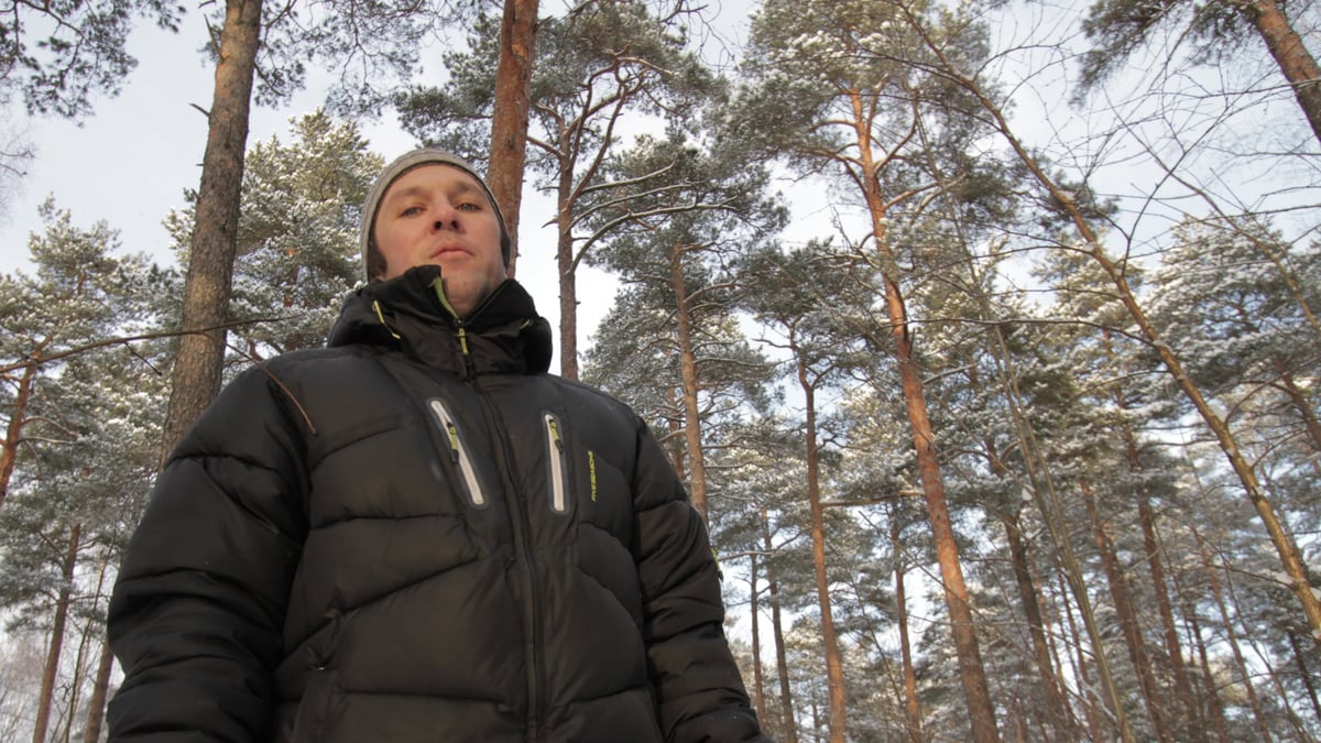 Putin and his cronies are razing Russian forests to build secret ...