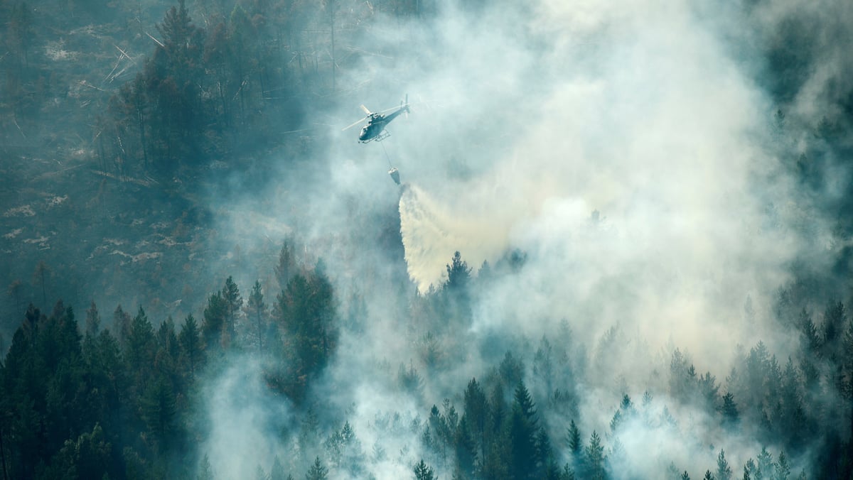 Photos: Wildfires continue to grip Sweden during an Arctic heatwave