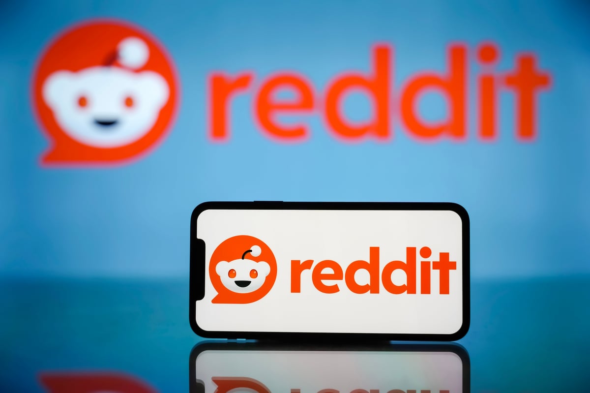 Reddit is including Redditors in its first earnings call since going public