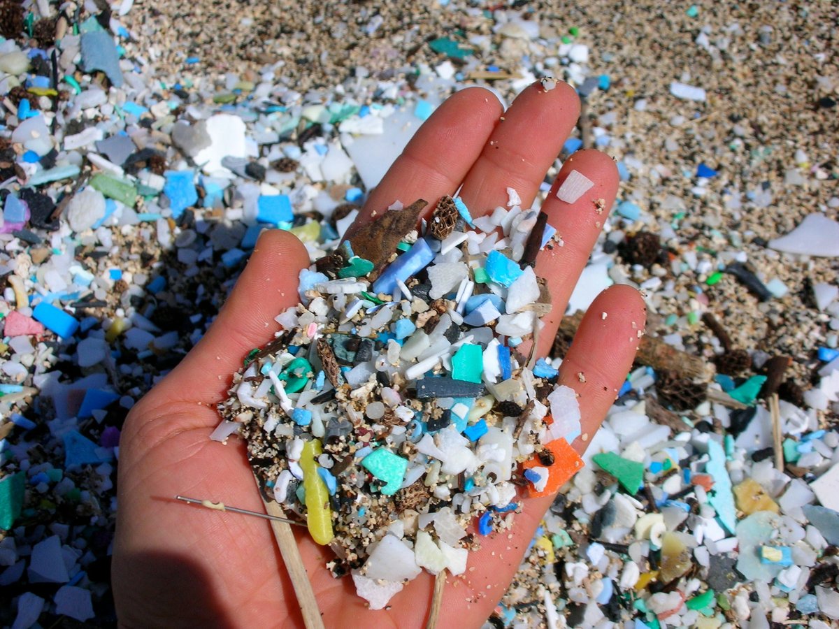 Over 170 trillion plastic particles are now floating in the ocean