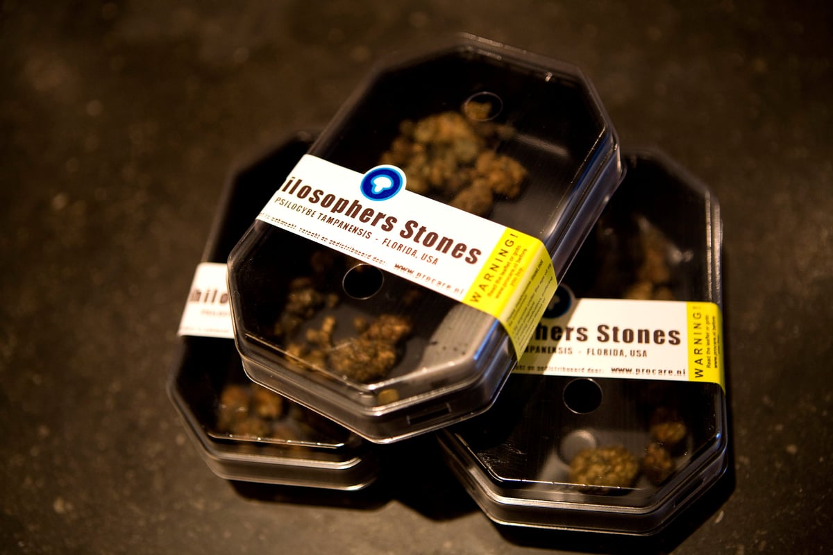 Psychedelic medicine companies to watch