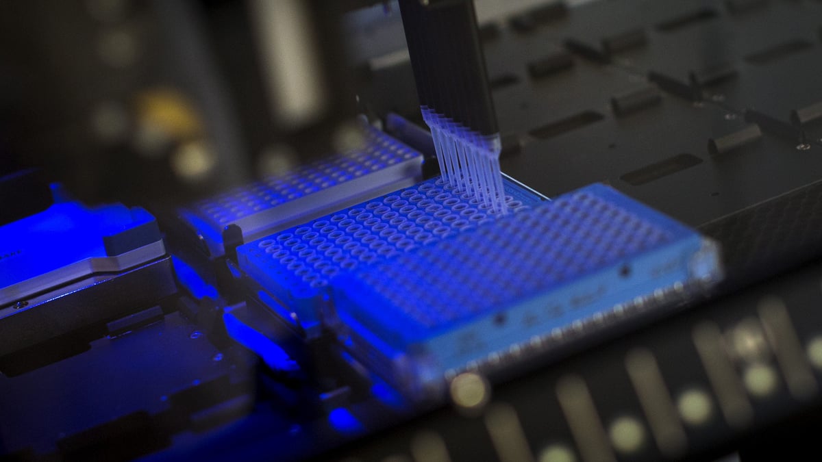A DNA computer has a trillion siblings and replicates itself to make a ...