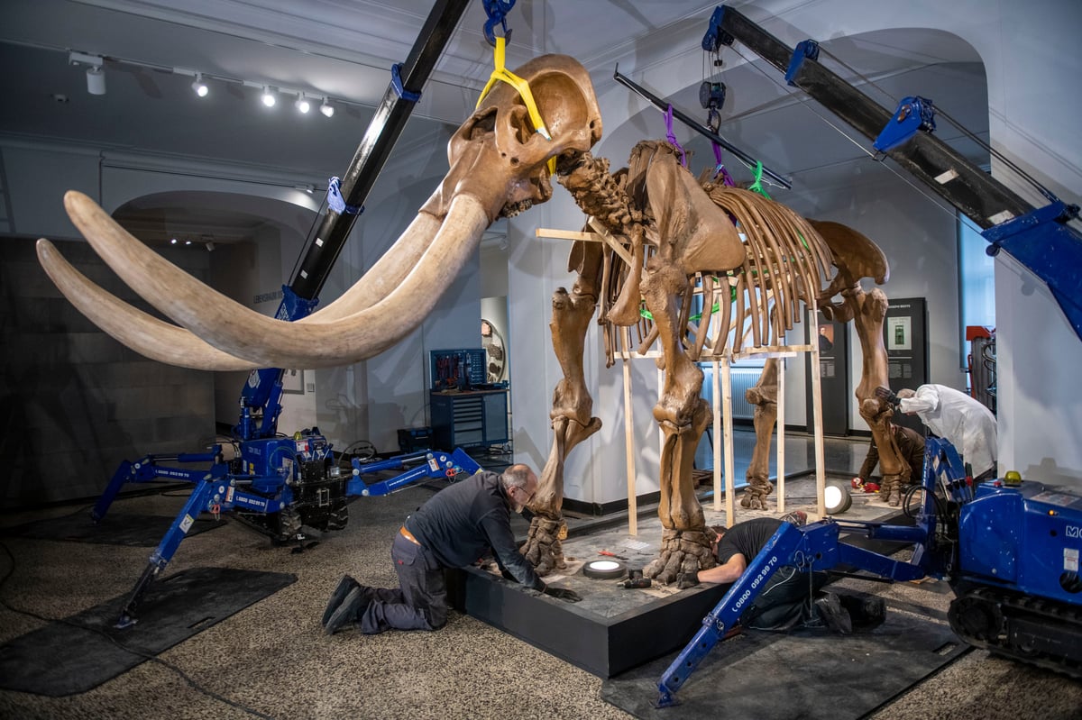 Twitter rival Mastodon is trending on Twitter
