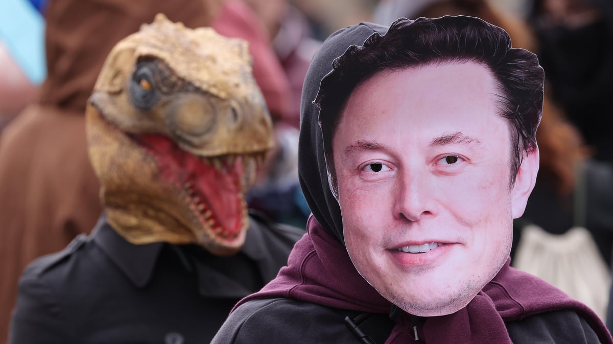 Elon Musk’s cage fight bravado: A weekend tragedy in three acts