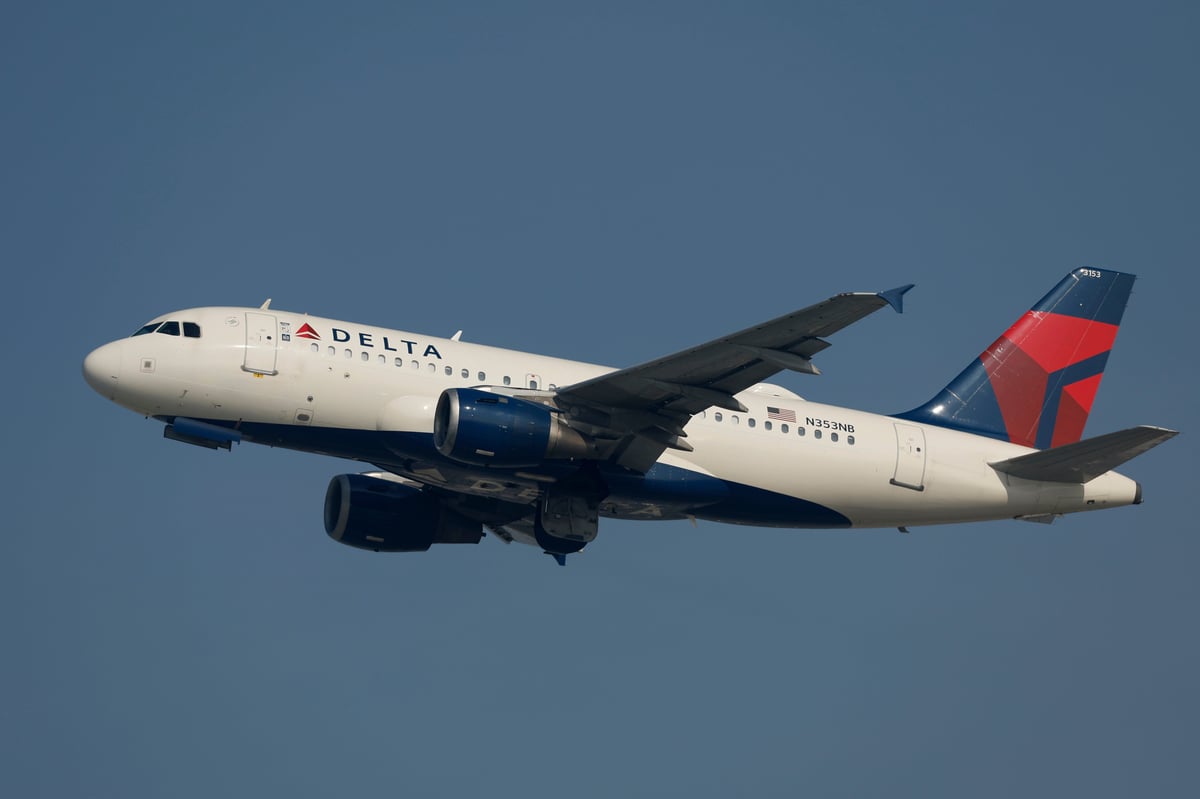 Delta stock soars as its CEO predicts 2025 will be its 'best financial ...