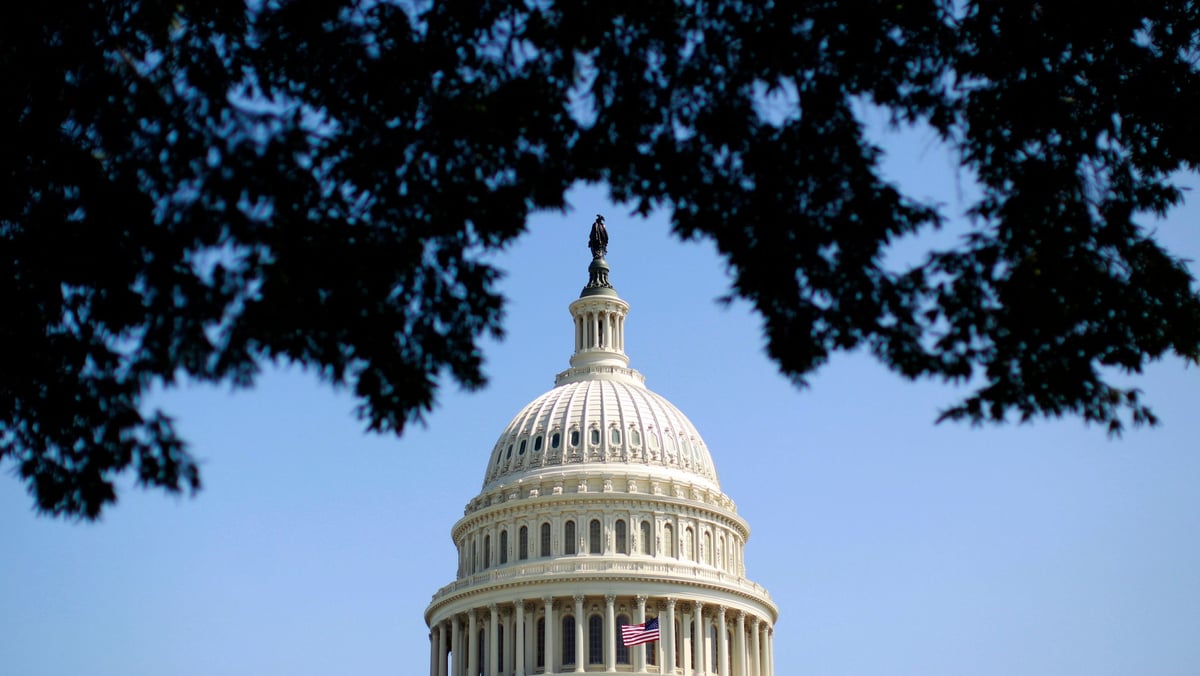 Charted: What the 2020 Democratic candidates did in Congress