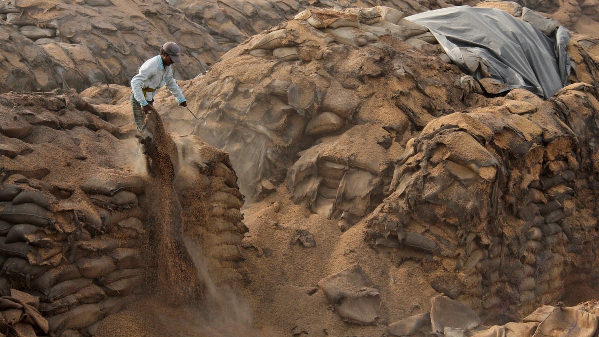 India’s government is hoarding food grains even as prices shoot through ...