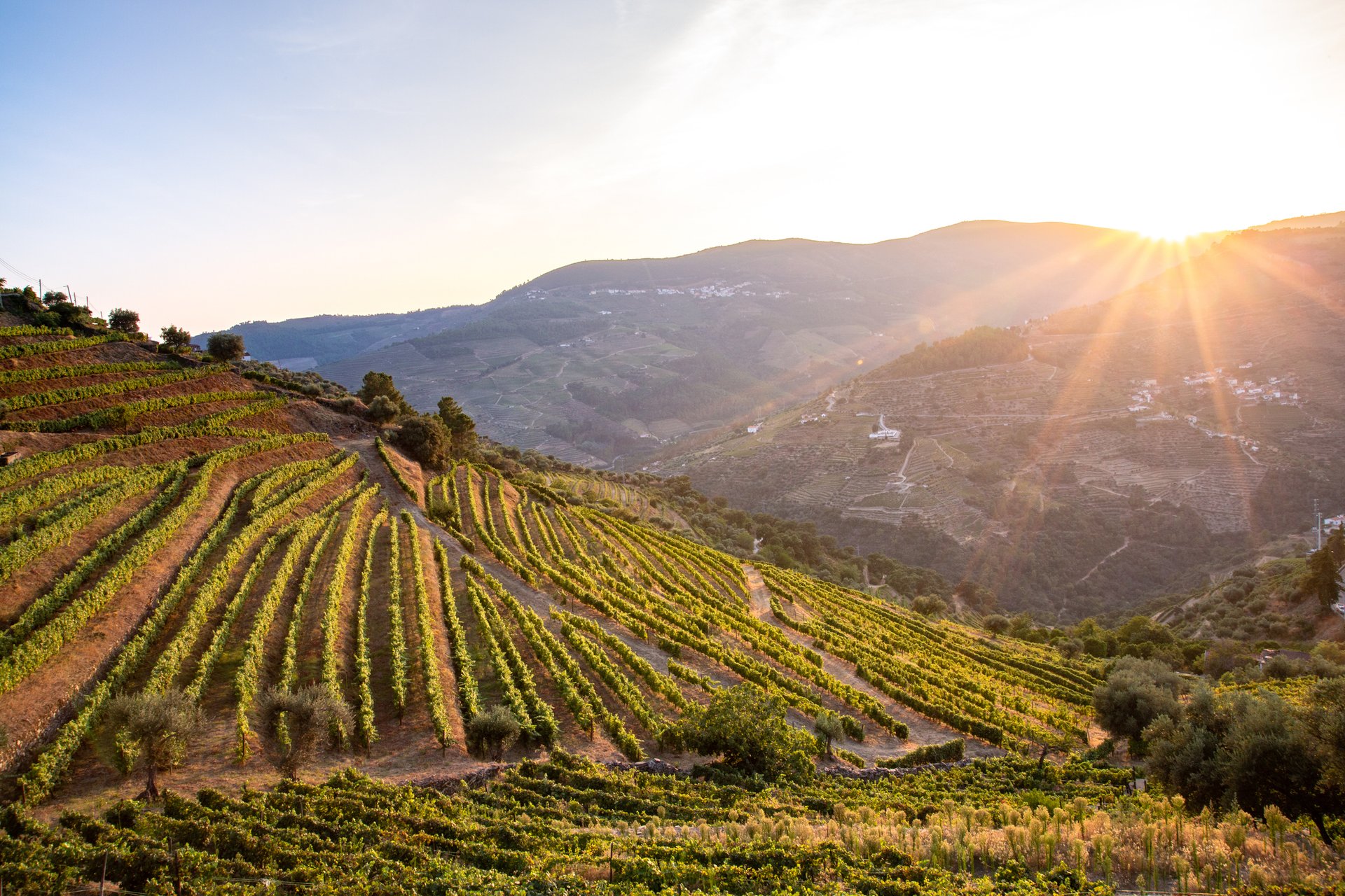 The most beautiful wine destinations in the world