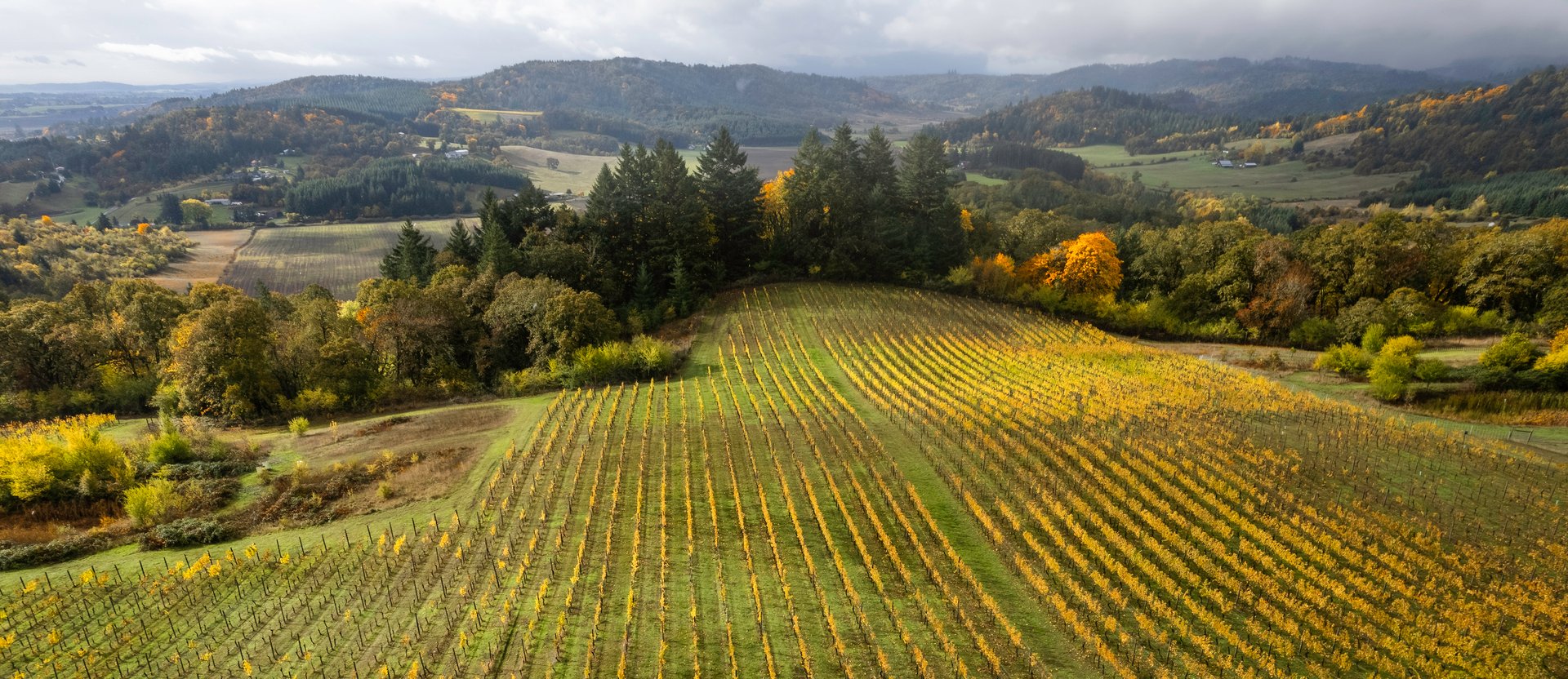 The most beautiful wine destinations in the world