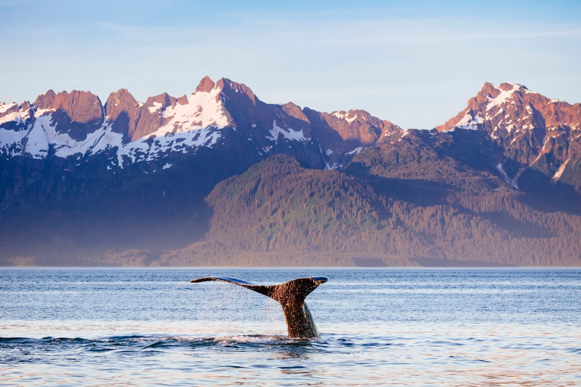 The best budget Alaska cruises for 2026 and 2027