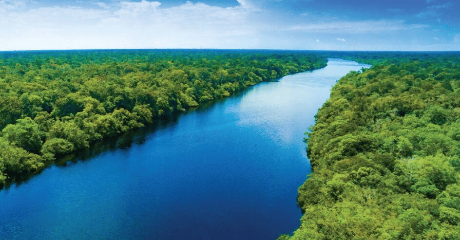 The best Amazon River cruises to book in 2026