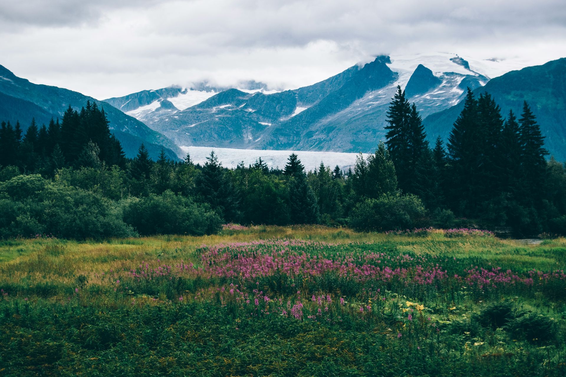 Sandra Seitamaa / Unsplash