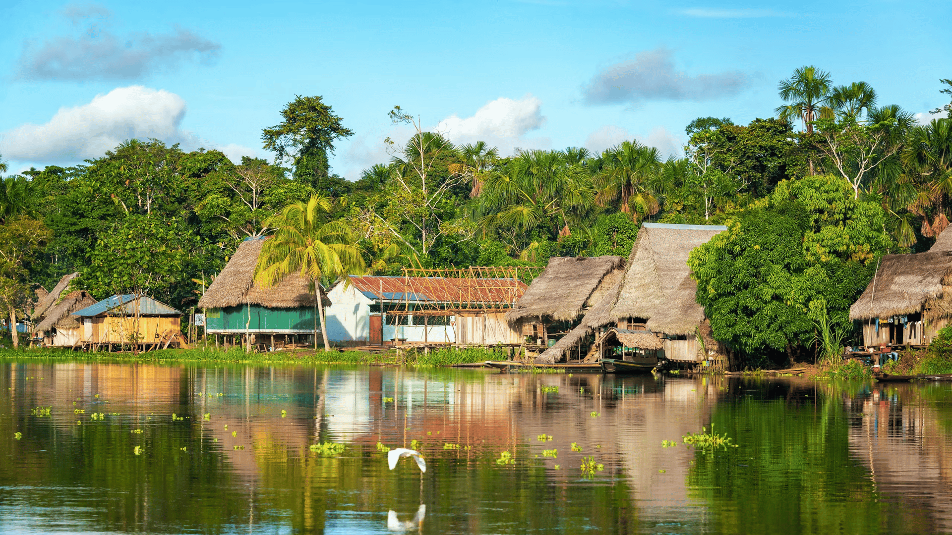 The best Amazon River cruises to book in 2026