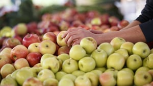 The first non-browning, genetically modified apple is shipping to US ...